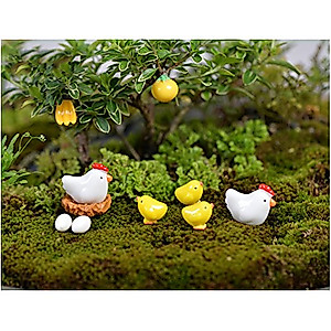 DoTebpa 22Pcs Miniature Family Chicken,Cock,Hen,Egg,Chicken Nest Ornament Micro Landscape Fairy Garden Décor