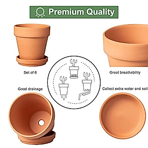 4 Inch Terracotta Pots with Saucer - 6 Pack Small Clay Plant Pots with Drainage Holes, Flower Pots with Tray, Terra Cotta Pots for Indoor Outdoor Plants, Crafts, Wedding Favor
