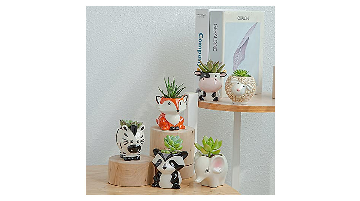 NOLITOY Mini Ceramic Succulent Pots for Home & Office