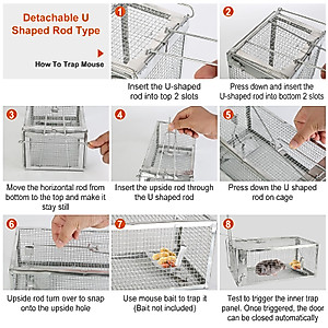TeqHome Humane Rat Trap, Small 1-Door Live Chipmunk Trap That Work for Indoor and Outdoor, Easy to Catch and Release Live Animal Trap Mouse Cage Trap for Rodents Mice Voles Hamsters, Reusable & Metal