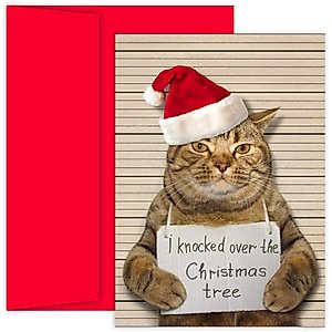 Masterpiece Studios Holiday Collection 18-Count Boxed Christmas Cards with Envelopes, 7.8" x 5.6", Bad Cat (915900)