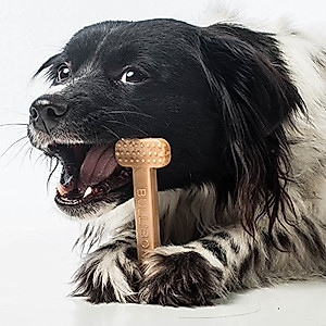 Bullibone Nylon Dog Chew Toy Nylon Bone - Improves Dental Hygiene, Easy to Grip Bottom, and Permeated with Flavor (Bacon, Small - Single)