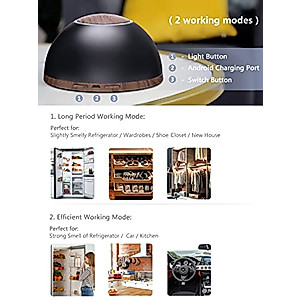 Refrigerator Deodorizer, Perfect for Home, Cars, Office, Tent, Pet Room