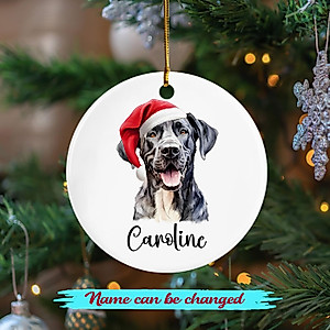 Funny Great Dane Ceramic Ornament Christmas 2025, Personalized Name Great Dane Dog Lover Ornament Xmas Tree, Custom Great Dane Christmas Ornament Gift for Dog Dad Dog Mom, Great Dane Ceramic Ornament