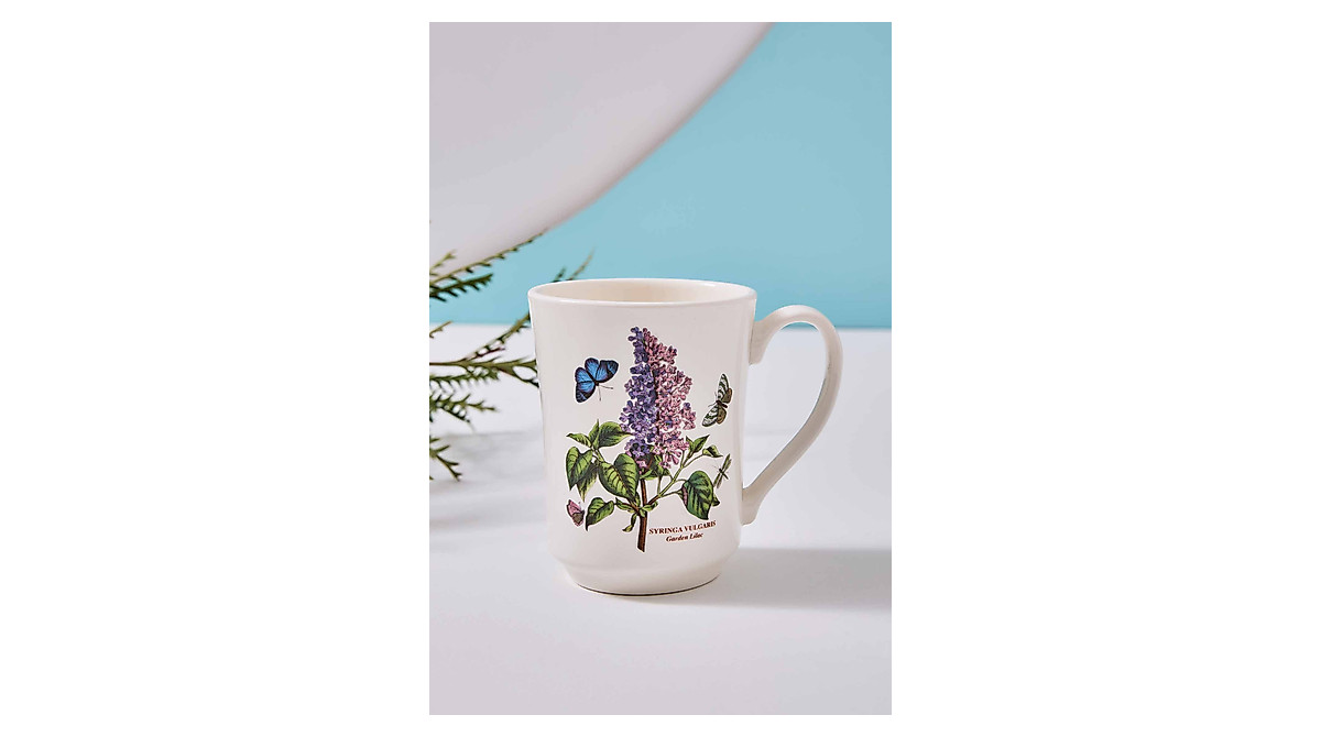 Portmeirion Botanic Garden 14 oz Mug Set of 6 | Elegant Floral Design
