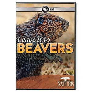 Nature: Leave It to Beavers
