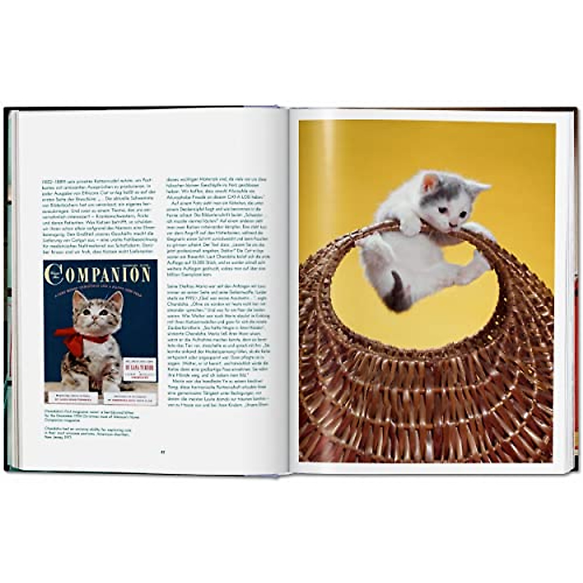 Cats: Photographs 1942 - 2018