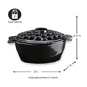 Plow & Hearth 33884-BK Steamer, 12.01 x 9.69 x 5.2 inches, black