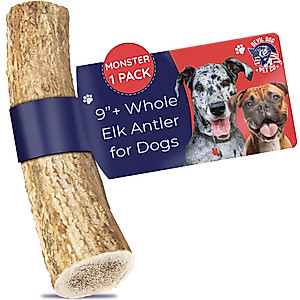 Devil Dog Pet Co. Elk Antlers for Dogs, 1 Pack, Monster 9”+, Grade A Long Lasting Dog Bones for Aggressive Chewers, Premium USA Naturally Shed Antler Dog Chew – Healthy, No Odor, Dog Antler Chews