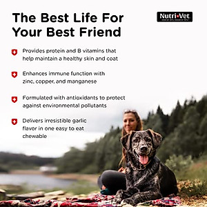 Nutri-Vet Brewer's Yeast and Garlic Chewable Tablets for Dogs - Veterinarian Formulated to Support the Immune System and a Healthy Skin & Coat - 500 Chewable Tablets