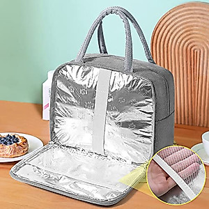 Toplive Lunch Bag, Reusable Insulated Lunch Bag, Waterproof Cooler Tote Meal Prep Lunch bag for Men & Women Work, Cute Lunch Cooler Bento Boxes Bags with Thickened aluminum Foil, Gray