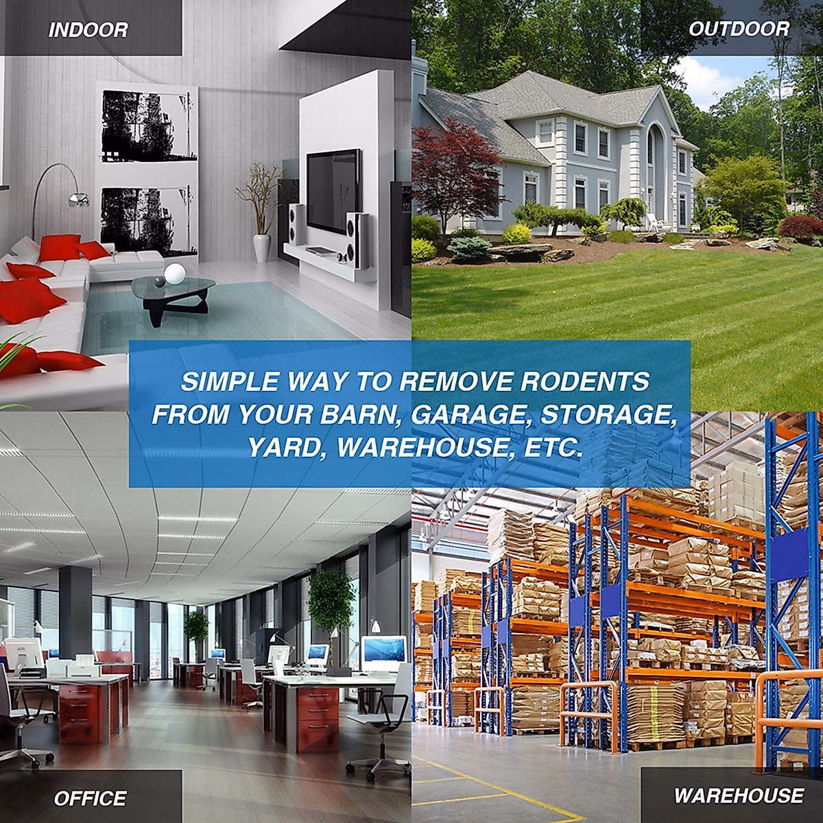 JXZH Plank Mouse Trap from Natural Wood - Humane Bucket Rat Trap - Walk The Plank Mouse Killer for Mice & Other Pests & Rodents