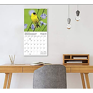 2021 Songbirds of North America 16-Month Wall Calendar