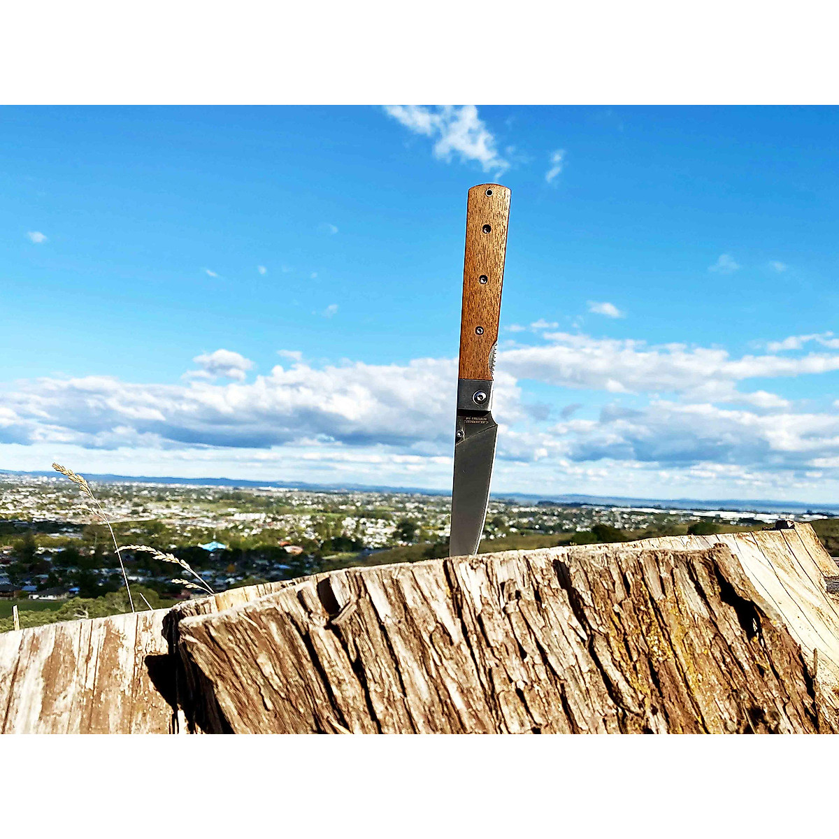 Herbertz Germany Extremely Sharp Pocket Folding Kitchen Chef Knife Paring Utility Knife Natural Rosewood 440 Stainless Steel Japanese Style