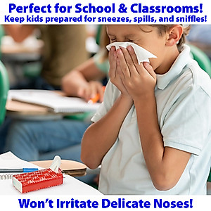 Funwares Pocket Sized White Car Travel School Work Facial Tissue, 24 Packs, 216 Total 3-Ply Tissue Sheets (9 - 3-Ply Tissue Sheets Per Pack), Elegant Floral Print Designed Package