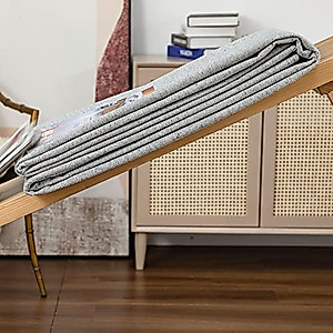 Fashriend FAZ Washable Doormat Boho Chic Medallion Trellis Distressed Non-Slip Foldable Washable Area Rug 2'×3' Stairway Entryway Silver Purple Multi