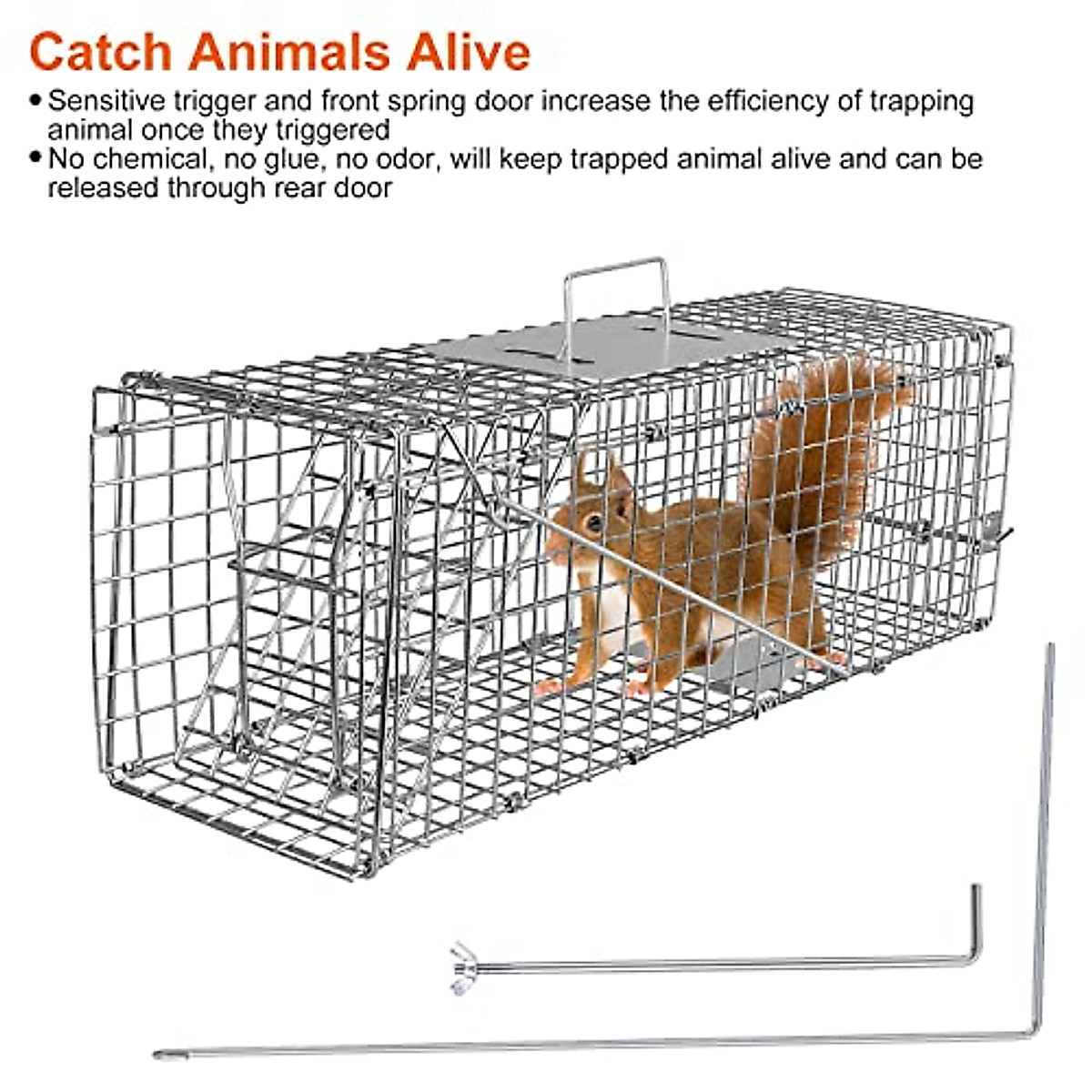 Moclever Humane Rat Trap Cage Catch Release Live Rat Traps Live Traps for Rat Live Animal Rodent Cage Collapsible Galvanized Wire for Small Raccoons Beavers Groundhogs Foxes Armadillos-23.3X7.7X7.2In