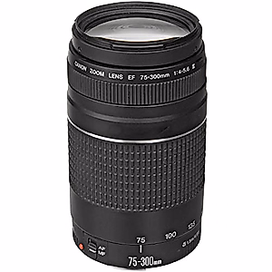 Camera Bundle for Canon EOS 250D / Rebel SL3 with EF-S 18-55mm f/4-5.6 is STM and EF 75-300mm f/4-5.6 III Lens + Accessories Bundle (128GB, 50in Tripod, Extra Battery, and More)