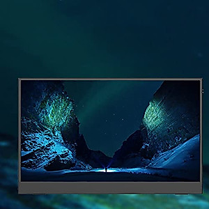 DFZ 15.6 Inch Portable Monitor, Small External Monitor with HDMI Interface for Laptop PC Computer,1920 * 1080