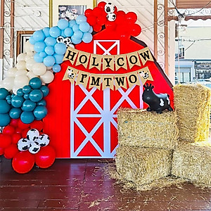 Holy Cow I'm Two Banner Farm 2nd Birthday Party Decoration Barnyard Burlap Garlands Western Boy Girl Second Birthday Supplies Black