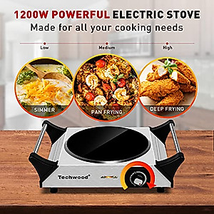 Techwood Hot Plate Portable Electric Stove (Stainless Steel, Infrared Ceramic Hot Plate)