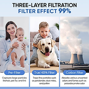 LBLVBNEWD 3-in-1 Purezone Replacement Filter Compatible with Pure Enrichment PureZone Air Purifier PEAIRPLG, H13 Grade True HEPA Filters 2-Pack