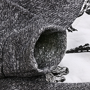 Toddler Infant Baby Boy Girls Clothes Hoodie Fall Winter Sweatsuit Pants Gender Neutral Long Sleeve Outfit Set(18-24 Months, Dinosaur)