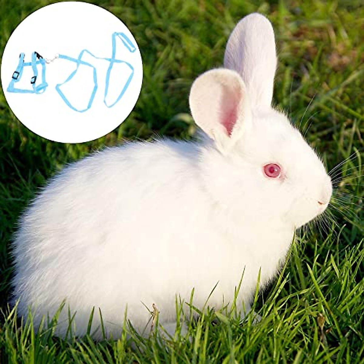 TEHAUX Pet Rabbit Harness Leash Soft Rabbit Harness and Leash Pet Rope Small Animal Vest Accessories for Walking/Running/ Jogging Outdoor Random Color