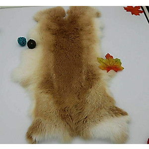 Tanned Natural Real Fur Rabbit Skin Pelt Hide Decorative Craft Grade Rabbit Pelts Sewing Quality Leather Rug Blanket（10'' by 12'' Yellow Cattle）