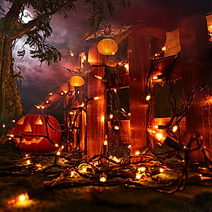 Toodour Orange Lights Halloween Lights, 33ft 100-ct Incandescent Halloween String Light, UL Certified Connectable Mini Bulbs Halloween Orange Fairy Light for Home, Garden, Halloween Party Decor