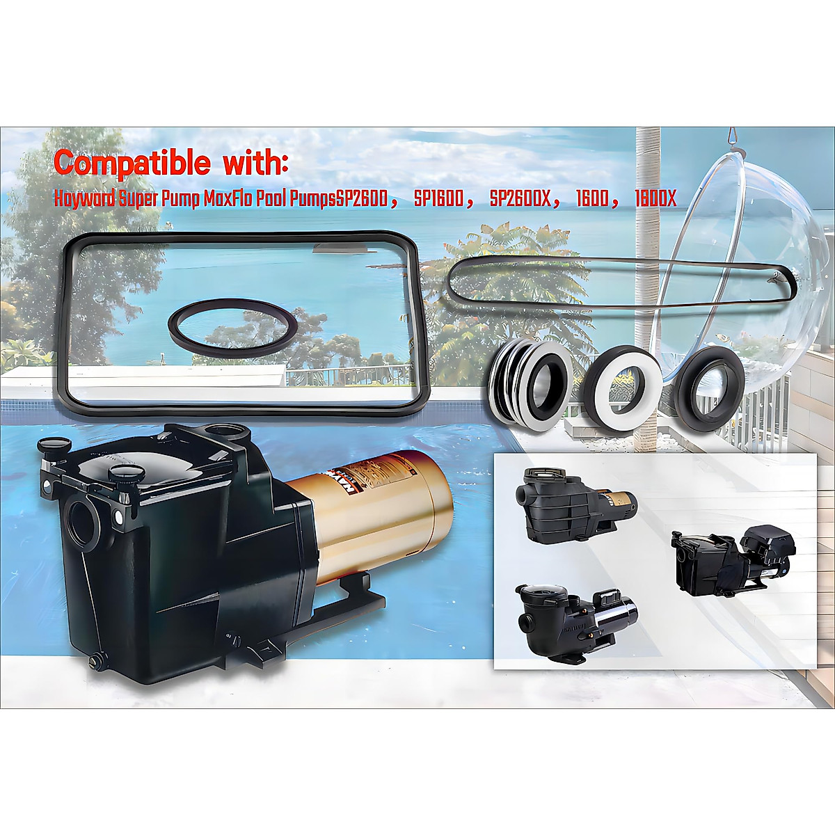 ZFLXH Super Pump Seal Replacement for Hayward Go Kit 3. All 3 Gaskets & Shaft Seal. Fits All SP1600, SP2600 in Regular, X, VSP Models. SPX1600TRA SP1600Z2 PS-201 SPX1600R SPX1600S SPX1600T Pool