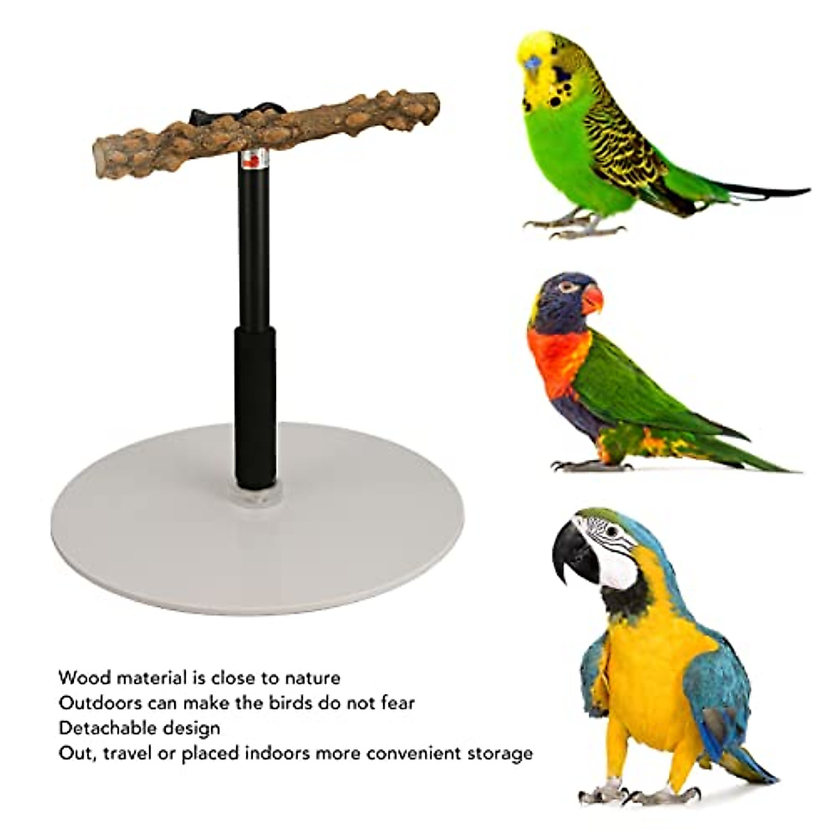 ASHATA Play Stand, Bird Perch, Portable Detachable Play Stand for Indoor Outdoor Traveling Birds to Stand, Climb or Play
