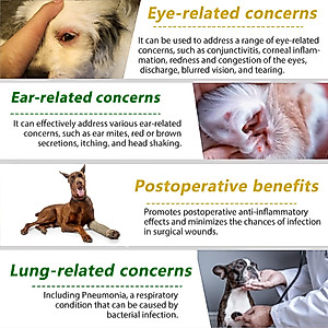 2 Pack Natural Antibiotics for Dogs - Pet Antibiotic - Healing Aid and Skin Repair for Wounds, Sores, and Abrasions, Provides Itch Relief for Irritated Skin - Duck Flavor