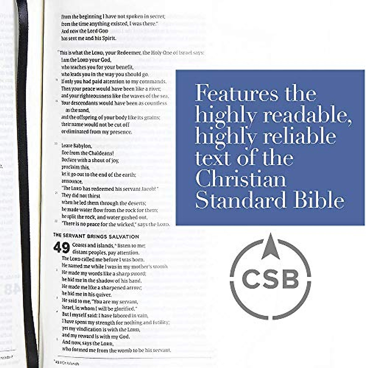 CSB He Reads Truth Bible, Charcoal Cloth Over Board, Black Letter, Wide Margins, Journaling Space, Illustrations, Reading Plans, Easy-to-Read Bible Serif Type
