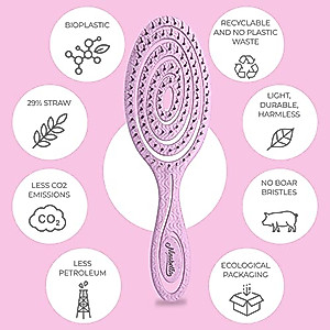 Ninabella Organic Detangling Hair Brush for Women, Men & Children - Does not Pull on Hair - Hair Straightening Brushes for Straight, Curly & Wet Hair - Unique Spiral Hairbrush