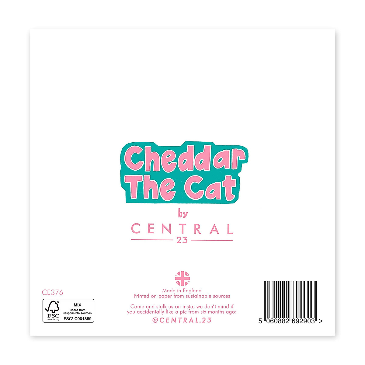 CENTRAL 23 - Cute Birthday Cards for Her - 'To My Lovely Goddaughter' - Cat Birthday Card - Goddaughter Birthday Card - Fun Birthday Cards for Women - Comes with Fun Stickers