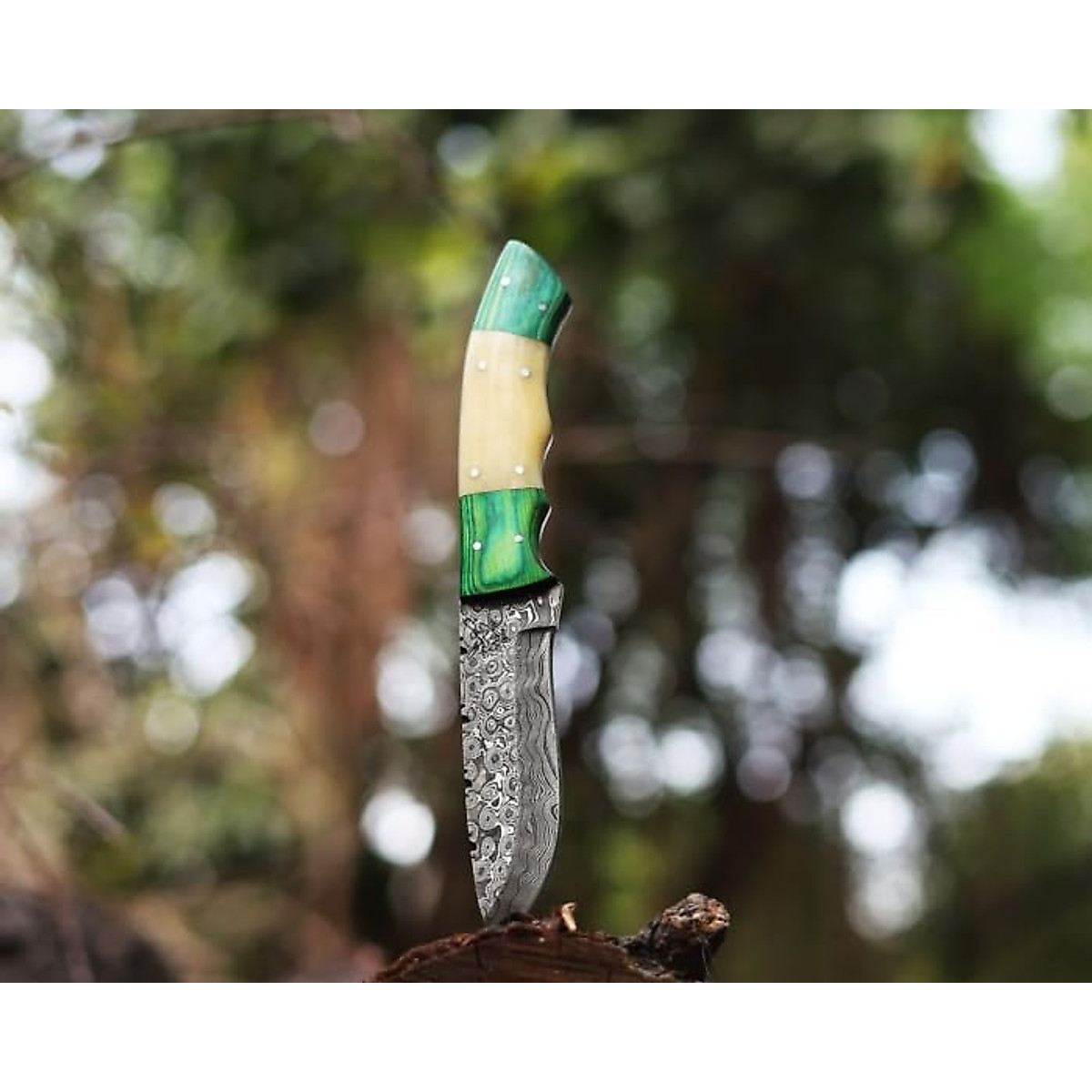 ADAM KNIVES Fixed Blade Damascus Steel Hunting Knife With Leather Sheath, 9'' Full Tang Skinning, Non-Slip Wooden Handle, Camping (Green Wood)