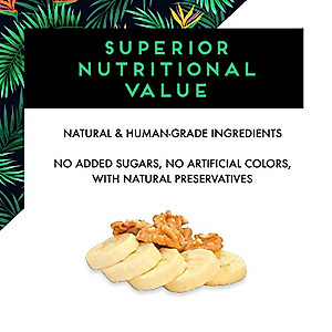 Oven Fresh Bites Baked Birdie Munchies Banana Nut Treats, 4 oz.