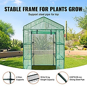 VEVOR Walk-in Green House, 55.5 x 29.3 x 80.7 inch, Portable Greenhouse with Shelves, High Strength PE Cover with Roll-up Zipper Door and Steel Frame, Set Up in Minutes, for Planting and Storage