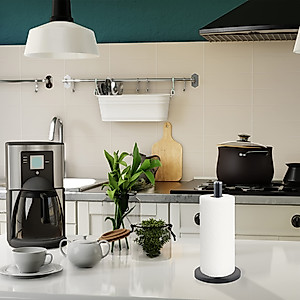 Hesalux Paper Towel Holder Black Matte - Stainless Steel Kitchen Paper Towel Stand, Kitchen Roll Dispenser for Any Kitchen or 15.5x4.6x29.2 cm