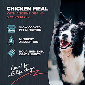 Blackwood Complete & Balanced Diet Dry Dog Food, Chicken Meal & Brown Rice with Ancient Grains, 10 Pound Bag, Slow Cooked with Vitamins & Minerals