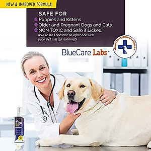 BLUECARE LABS Bitter Apple Spray for Dogs to Stop Chewing - Corrector Spray for Dogs to Prevent Licking and Chewing on Furniture, Paws and Wounds - No Alcohol and Non Toxic - Made in The USA 8oz