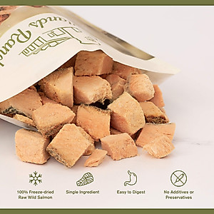 BADLANDS RANCH - Superfood Bite, Freeze-Dried Raw Dog Treats - Protein Rich, Train & Reward, Traceable Single Ingredient by Katherine Heigl (Wild Salmon)