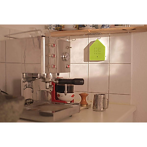 Brainstream Zwitscherbox Classic Motion Sensor Sound Therapy Box, Green & White