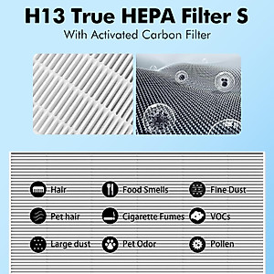 FFAC C545 HEPA Replacement Filter Compatible with Winix C545 Air Purifier, for Winix C545 Replacement Filter, Part# 1712-0096-00 and 2522-0058-00, 2 H13 True HEPA Filter & 8 Activated Carbon Filters