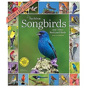 Audubon Songbirds and Other Backyard Birds Picture-A-Day Wall Calendar 2023: A Beautiful Bird Filled Way to Keep Track of 2023