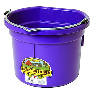 Little Giant P8FBPURPLE 2 Gallon All Purpose Heavy Duty Farm Flat Back Plastic Buckets for Supplies, Toys, Laundry, and Water, Purple, (12 Pack)
