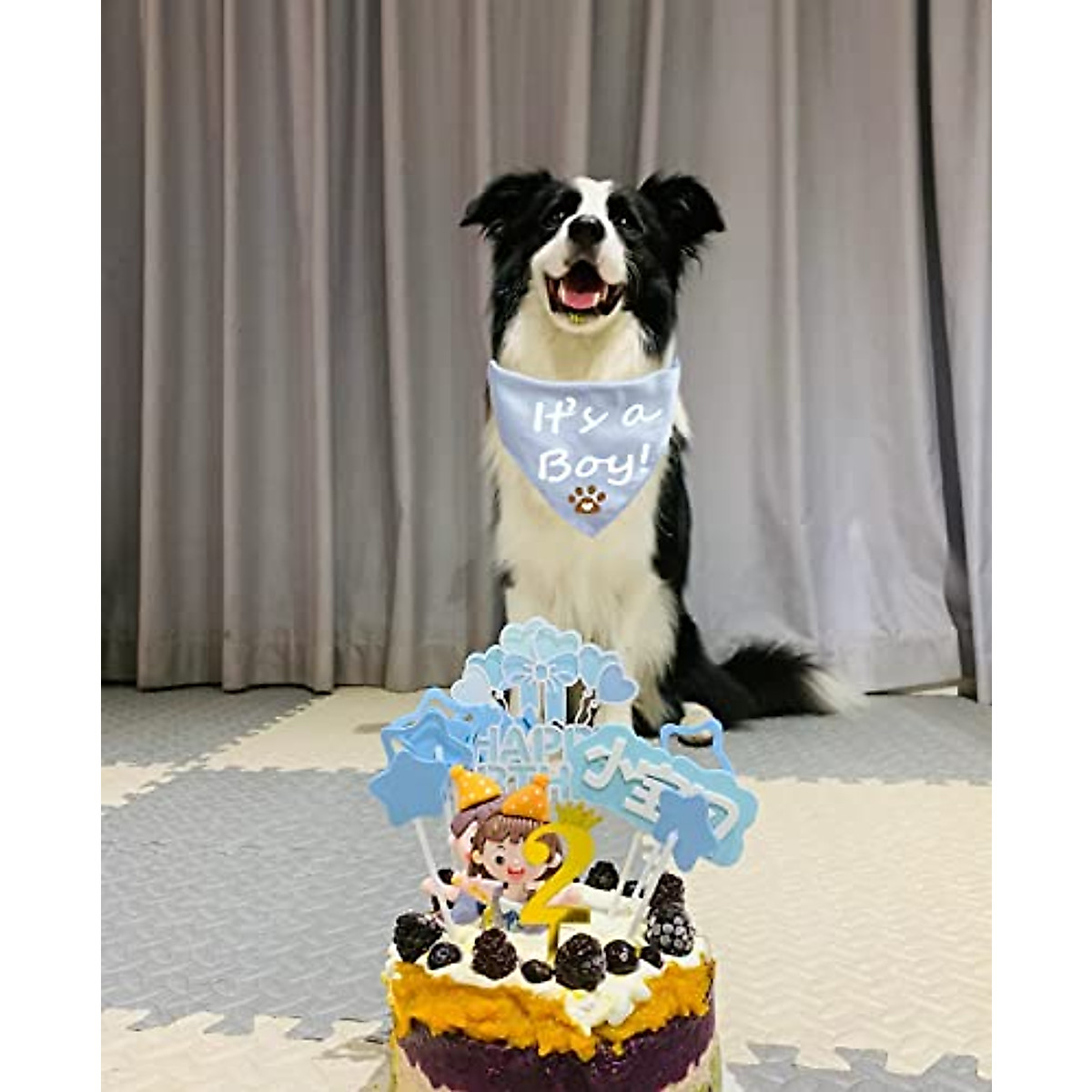 Waghaw Gender Reveal Dog Bandana, It's A Girl It's A Boy Dog Bandana Gender Reveal Bandana for Small Medium Large (Small (Pack of 1), Blue)