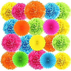 60 Pcs Tissue Paper Pom Poms 10,12,14 Inch Paper Flowers Colorful Paper Party Decorations Paper Flower Balls for Celebration Party Birthday Wedding Fiesta Christmas Decorations and Outdoor Decor