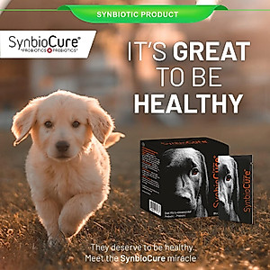 Synbiocure I Probiotics & Prebiotics for Dogs I Powder Dog Supplement I Digestive Health Support I 200 Billion Bacteria Per Sachet I 30 Sachets*2 g